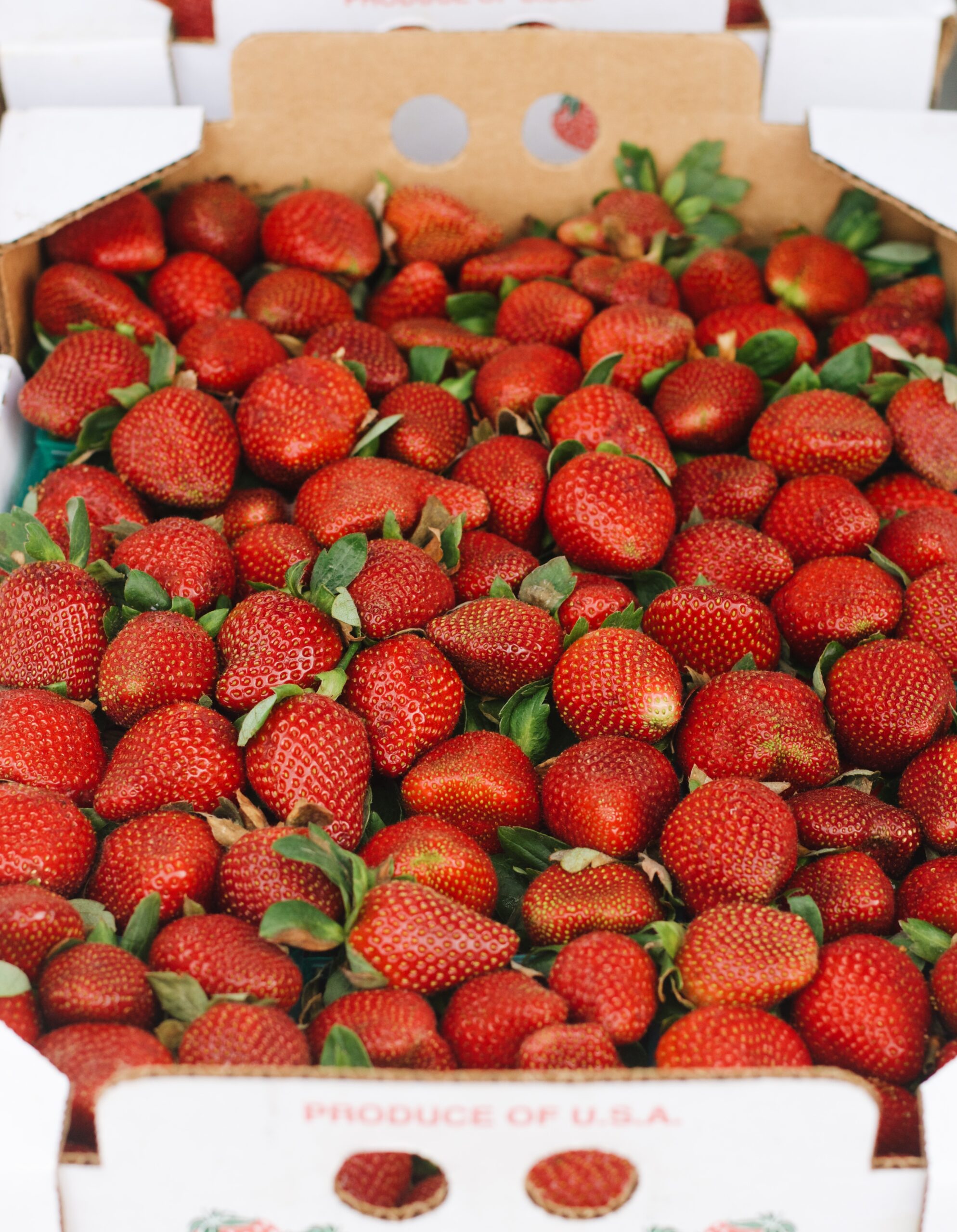 Strawberry Jam Salad | BREADA