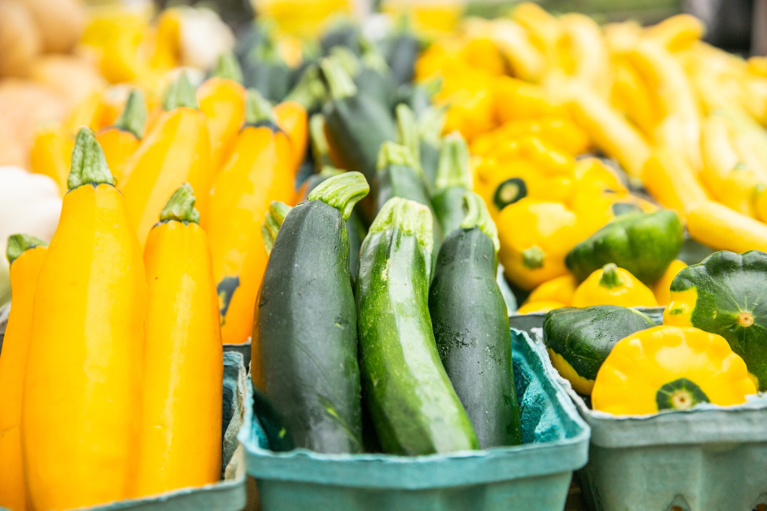 Fresh Fest 2024 | BREADA