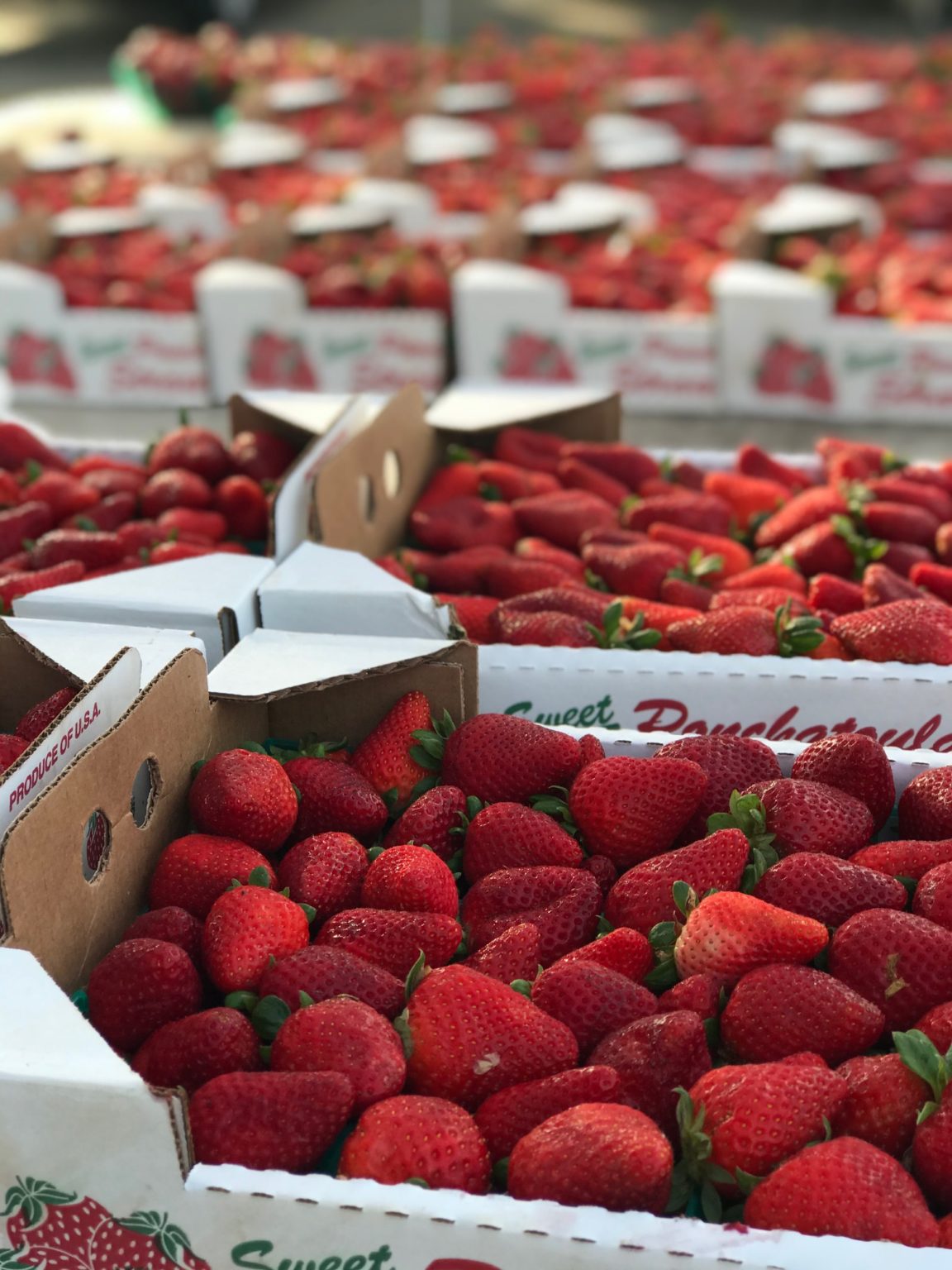 Saturday Drive-Thru Market | BREADA